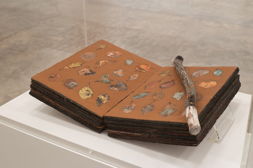 Review: ‘Dear Nature’ by John Newling